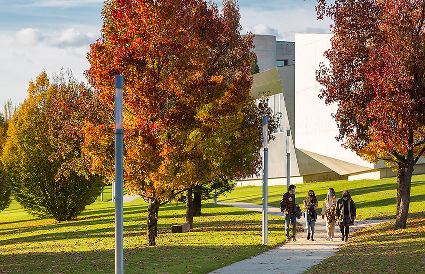 4b8e3870-8c65-a367-d6a5-c1be4816a911