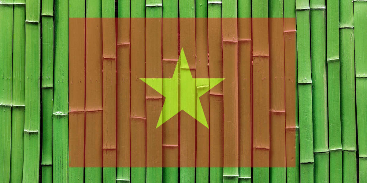 Vietnam. The Bamboo Holding Strong against the Winds of a Multipolar ...